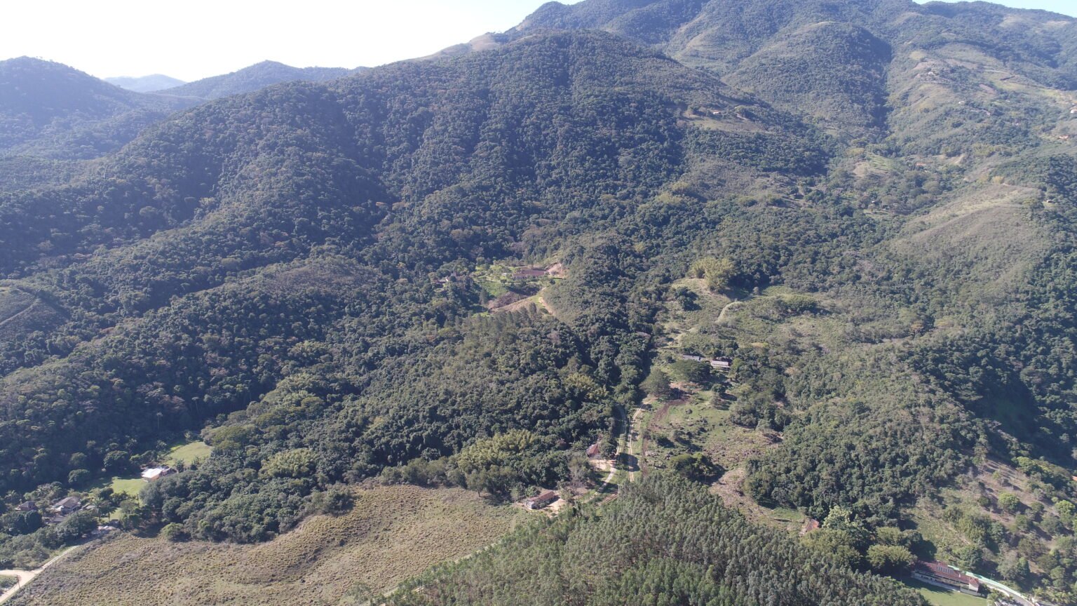 Rio Bonito pretende reflorestar 120 hectares de áreas do Bioma Mata ...
